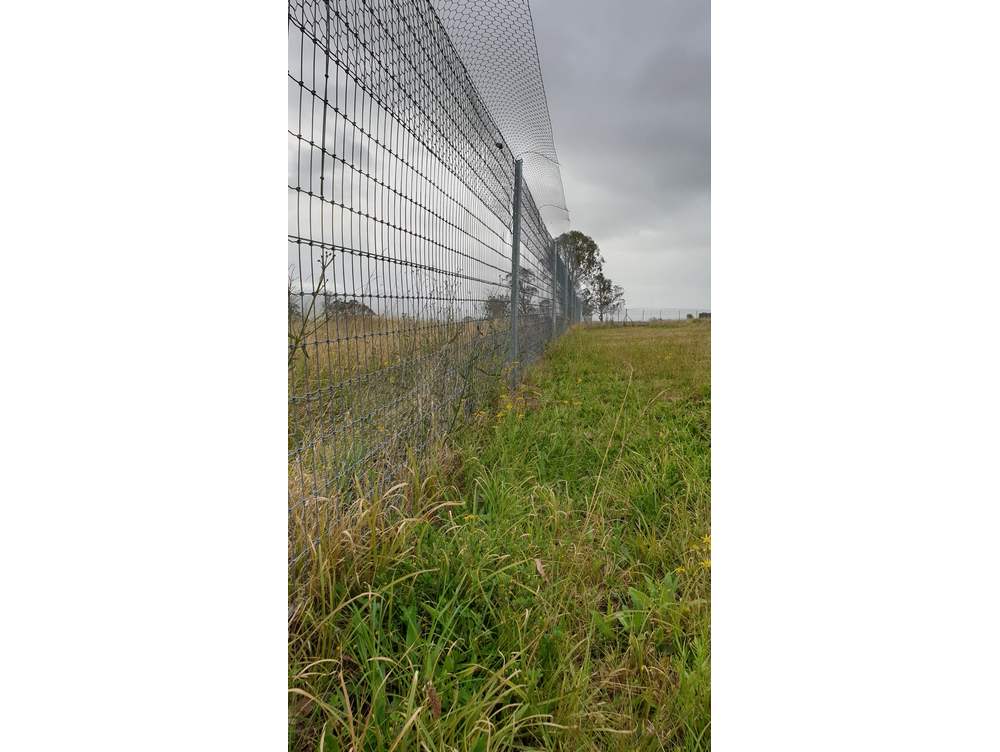 Pace Farms - Southern Wire