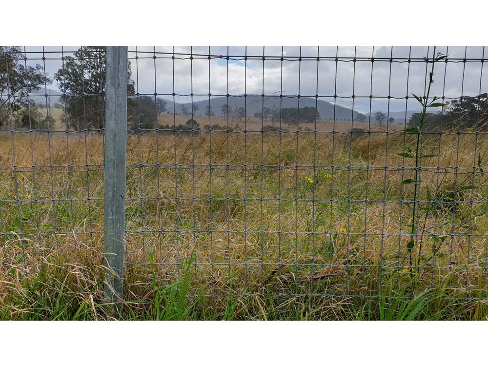 Pace Farms - Southern Wire