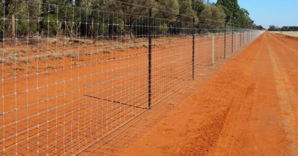 Feral Animal & Vermin Exclusion Fencing Australia - Southern Wire