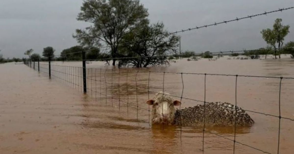 Have you been affected by the Queensland floods? - Southern Wire